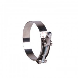 19mm Bandwidth Stainless Steel T Bolt Type Pipe Clamp
