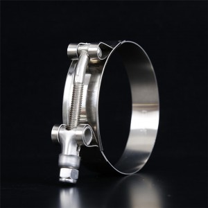 19mm Bandwidth Stainless Steel T Bolt Type Pipe Clamp