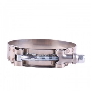 19mm Bandwidth Stainless Steel T Bolt Type Pipe Clamp