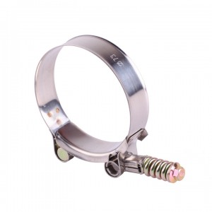 19mm Bandwidth Heavy Duty Zinc Plated T Spring Loaded Pipe Clamp