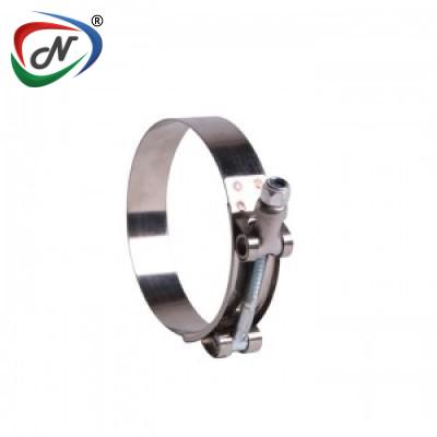 19mm Bandwidth Stainless Steel T Bolt Type Pipe Clamp