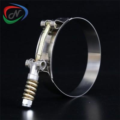 19mm Bandwidth Heavy Duty Zinc Plated T Spring Loaded Pipe Clamp